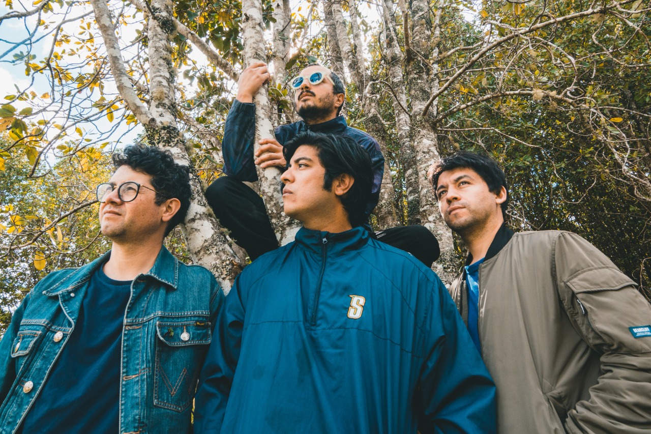 Miles de aves: icónicos músicos de la escena chilena presentan su nuevo ...